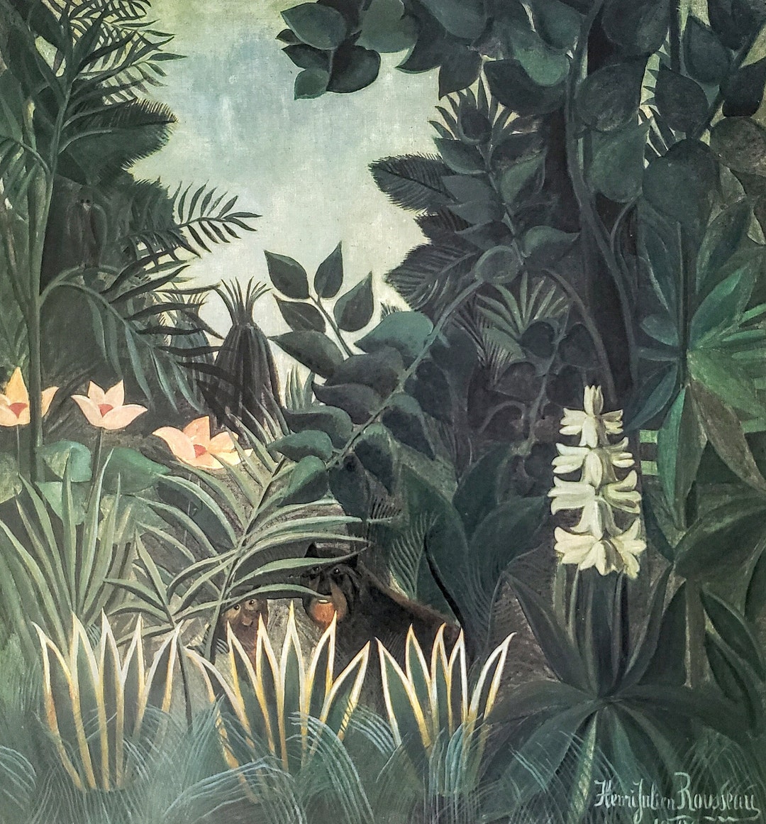 The Equatorial Jungle by Henri Rousseau Book Plate Early 20th Century 9 ...