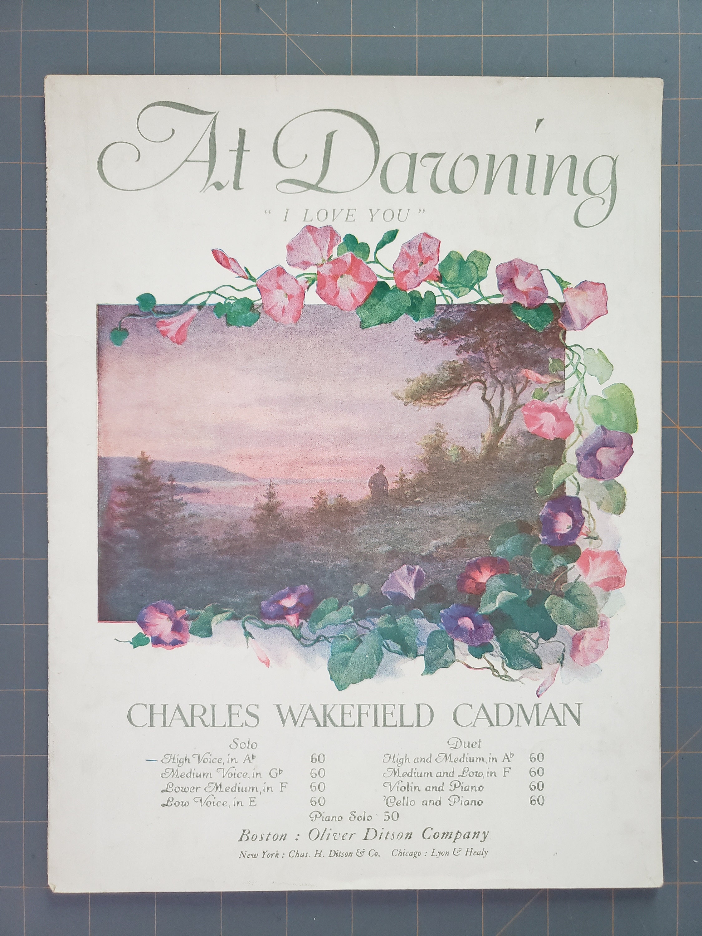 At Dawning I Love You 1924 Antique Sheet Music by Charles Wakefield ...