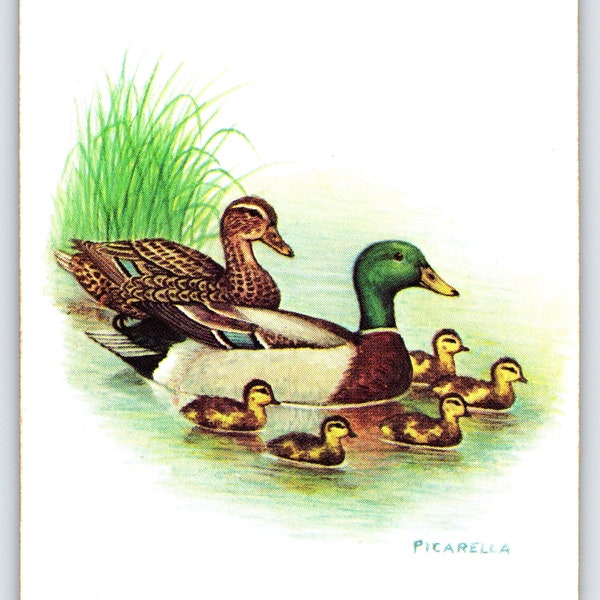 Duck Playing Cards - Etsy