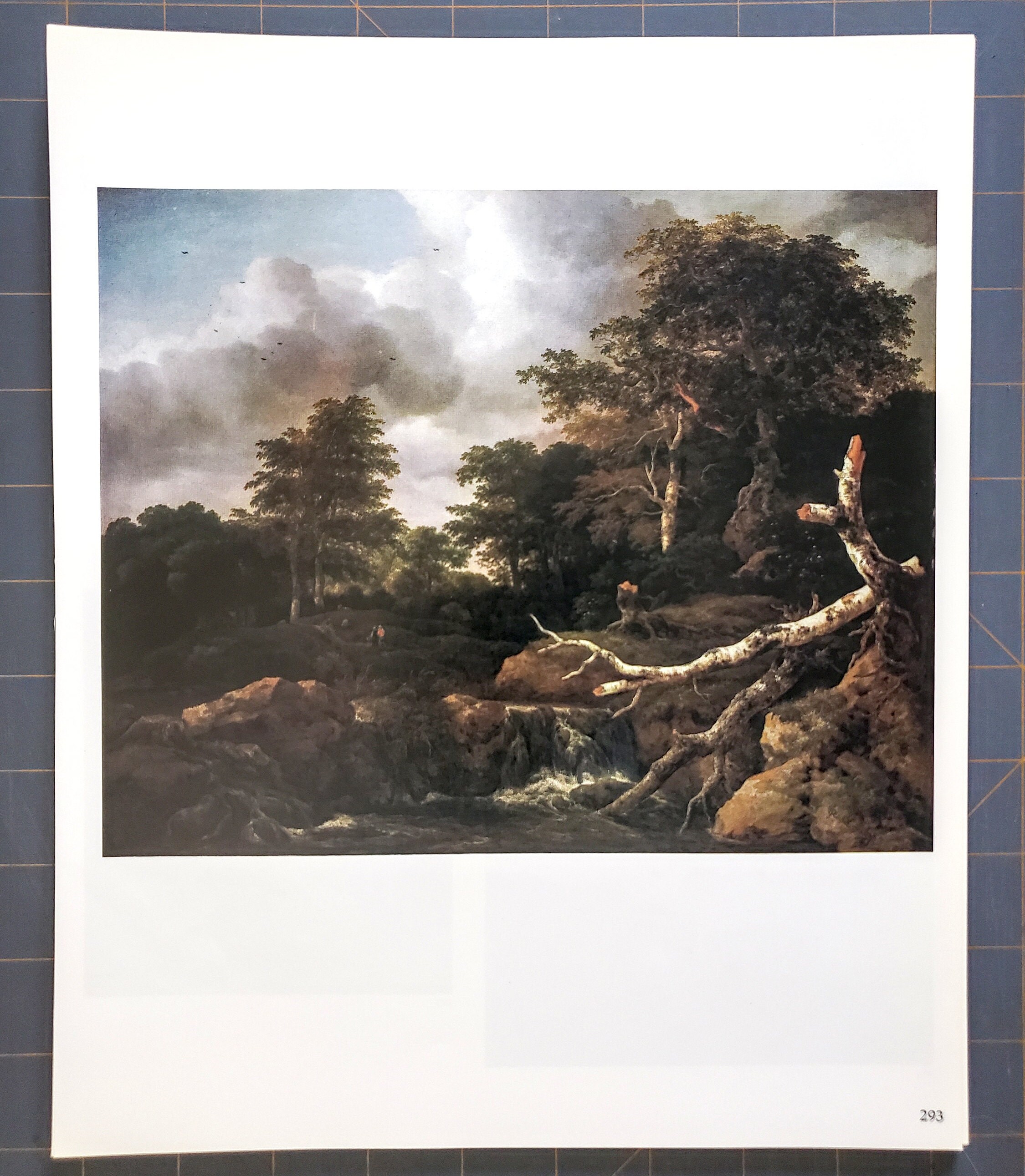 Forest Scene by Jacob Van Ruisdael Book Plate 17th Century 9.5 X 11.5 ...