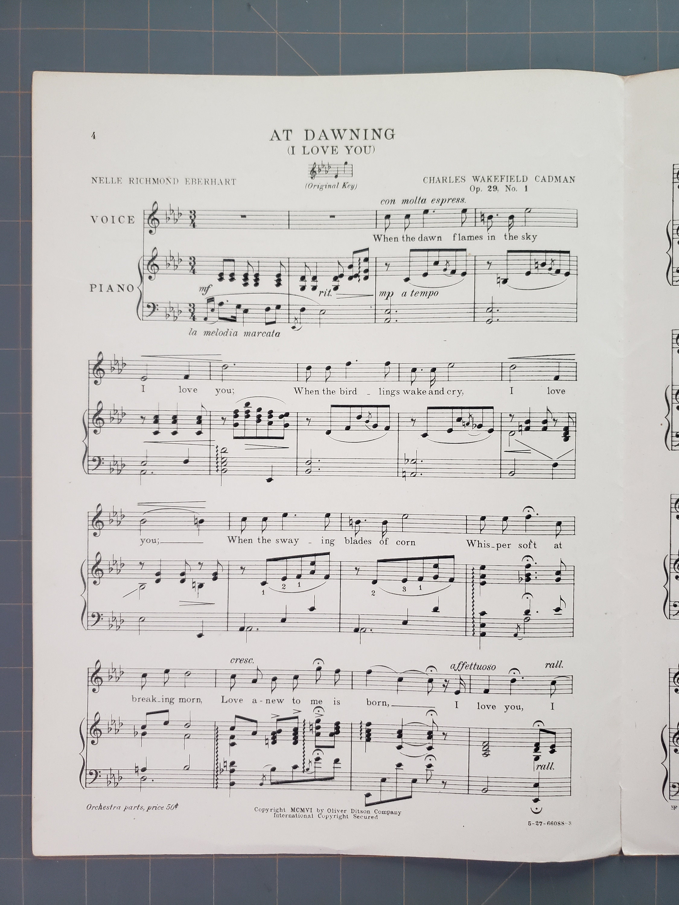 At Dawning I Love You 1924 Antique Sheet Music by Charles Wakefield ...