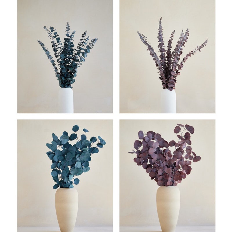 Eucalyptus Decor - Etsy