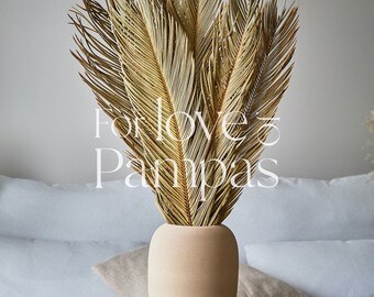 Large Dried Leaves | Etsy