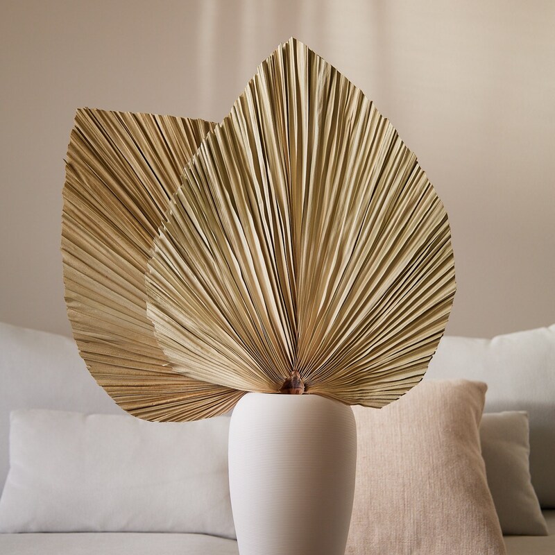 Palm Leaf Fans - Etsy