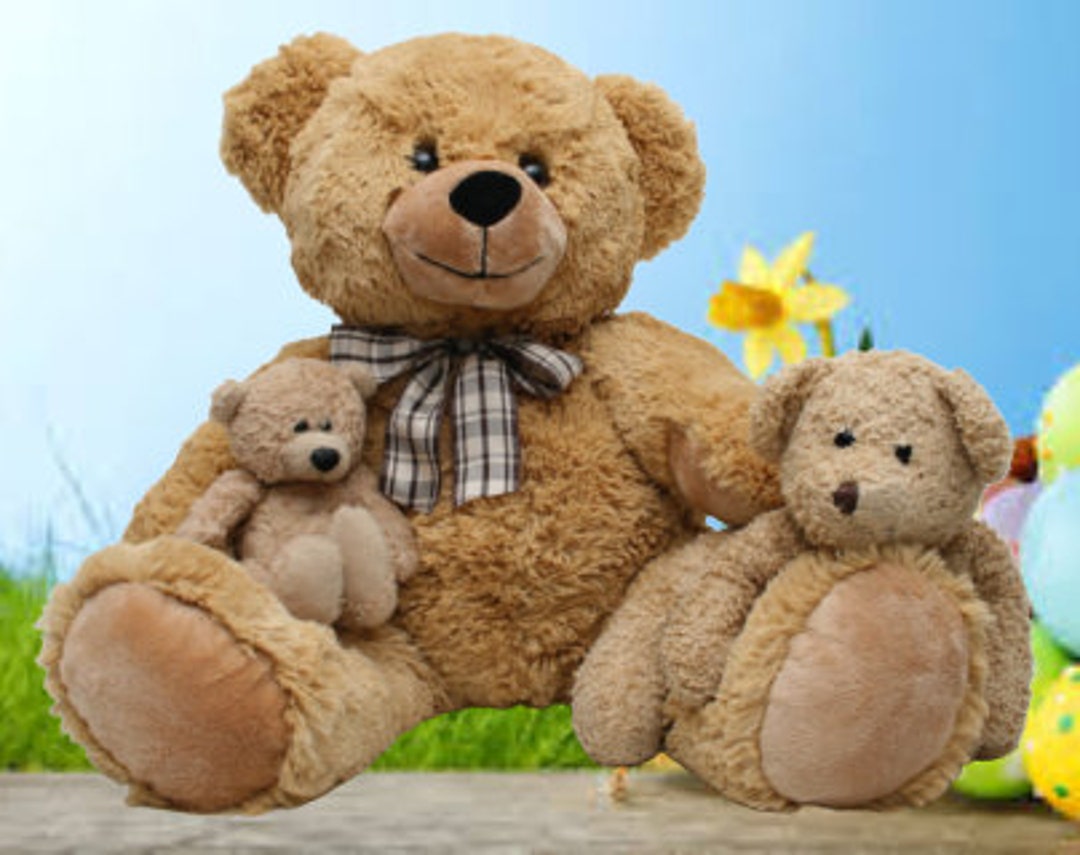 Teddy Bear Mystery Box 3 10 Piece 5 Box Sizes XS XL Curated Vintage ...