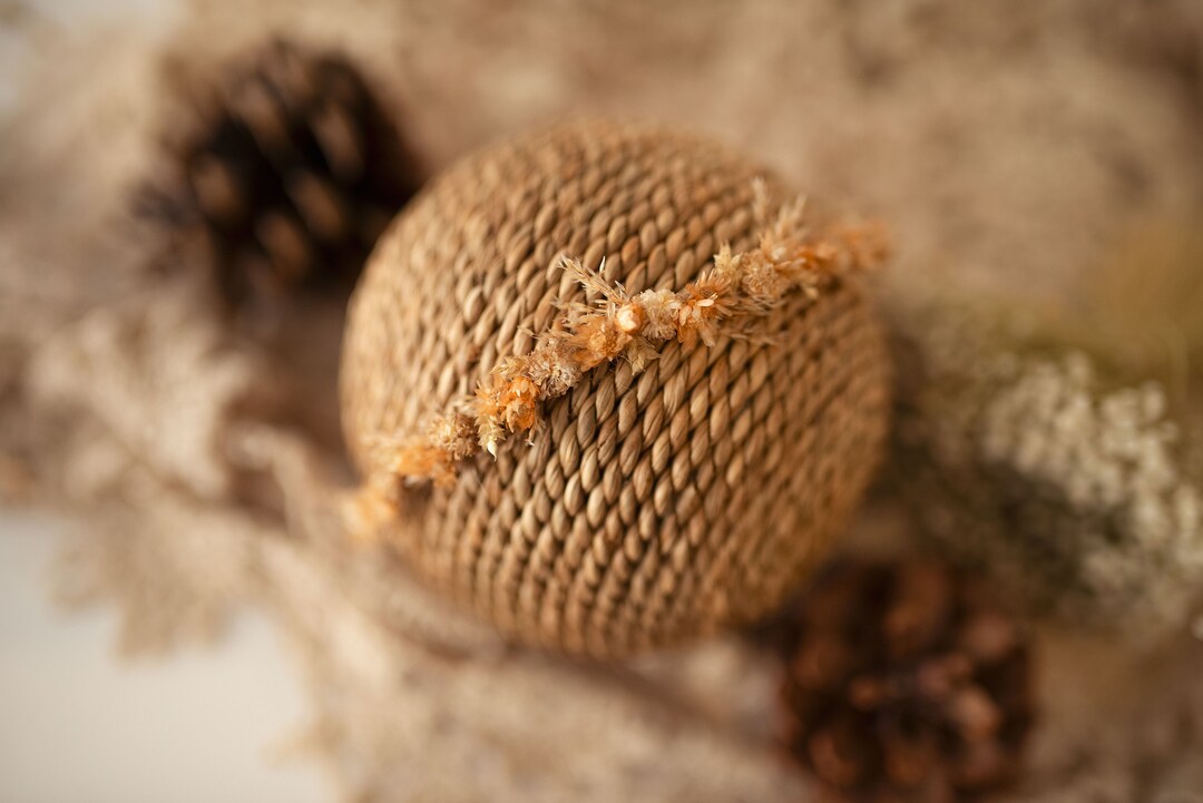 Tan Daisy Halo - Etsy