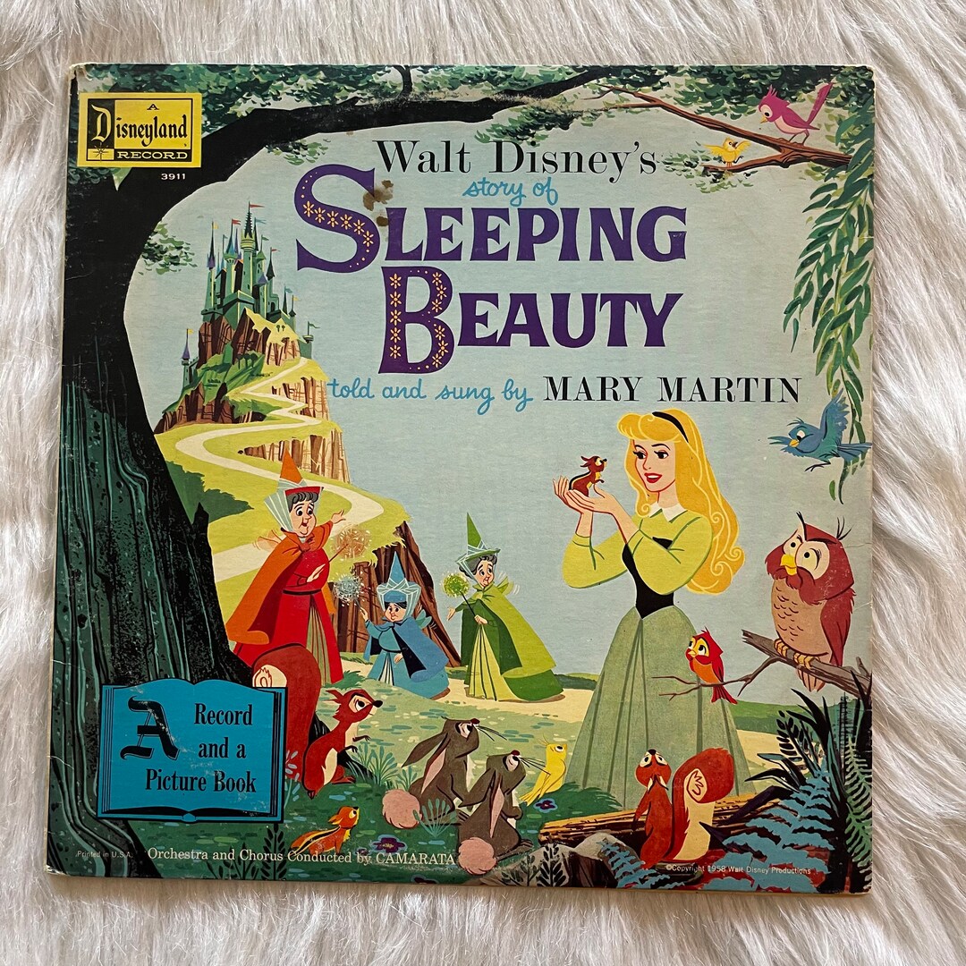 Walt Disneys Story of Sleeping Beauty - Etsy