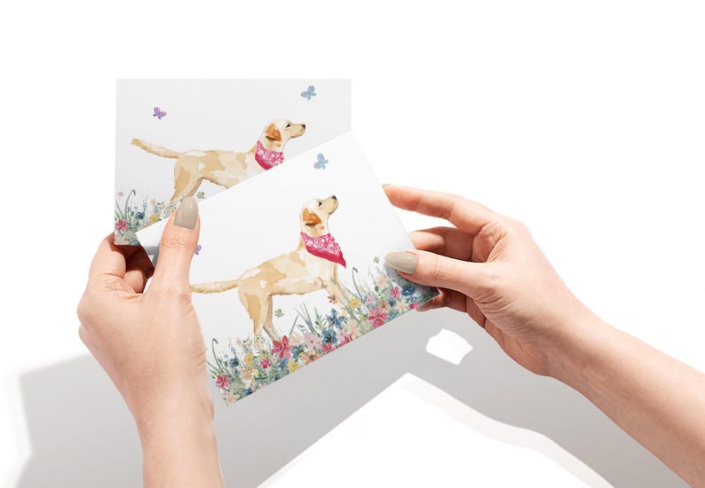 Dog Stationery Set: Labrador Retriever Art - Blank Inside, Eco Friendly ...