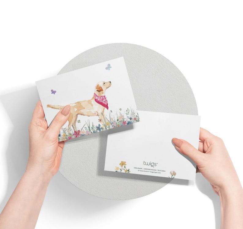 Dog Stationery Set: Labrador Retriever Art - Blank Inside, Eco Friendly ...