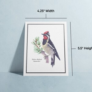 Watercolor Birds Greeting Cards | Bird Watching Cards | Cardinal Card ...