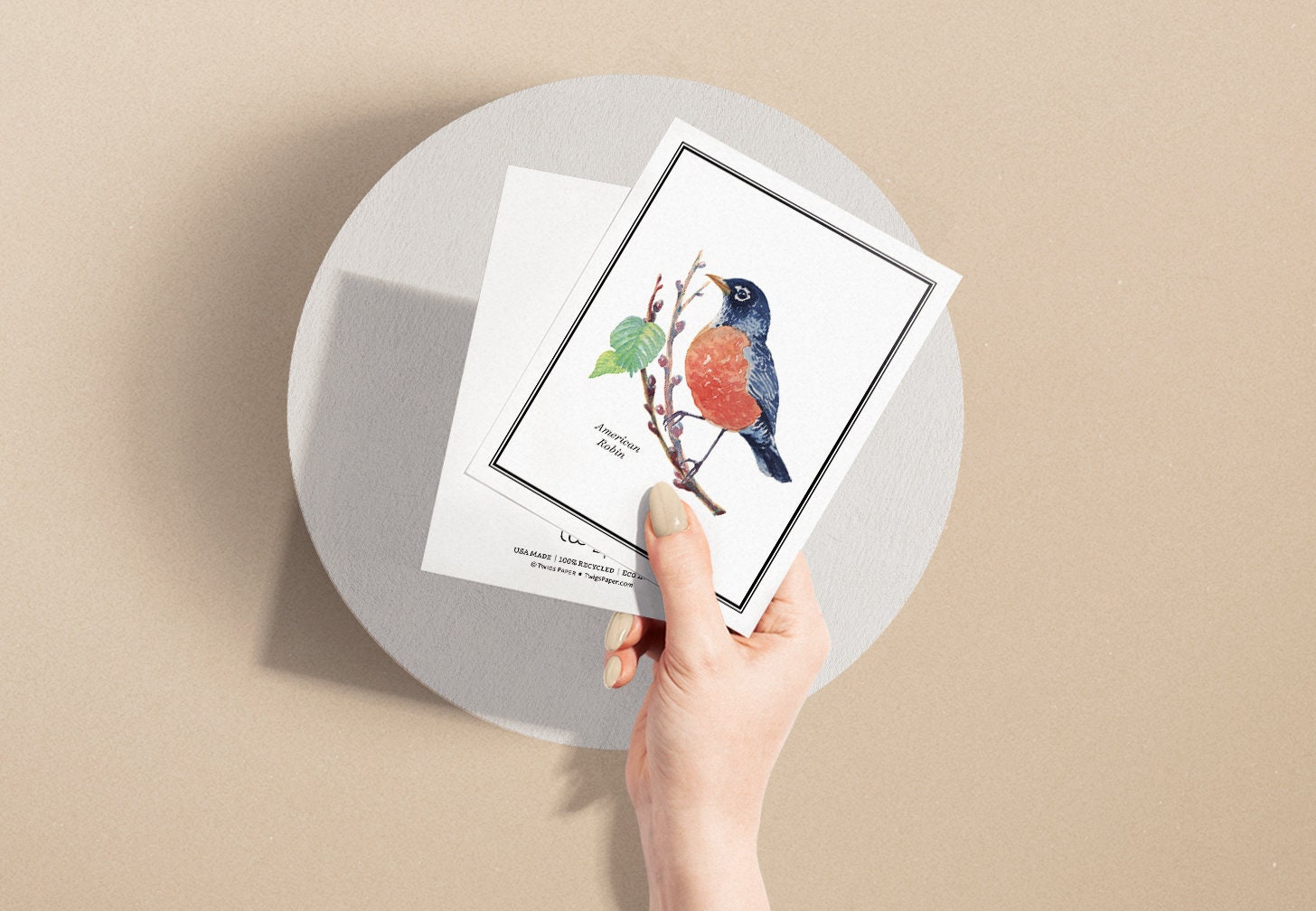 Watercolor Birds Greeting Cards | Bird Watching Cards | Cardinal Card ...