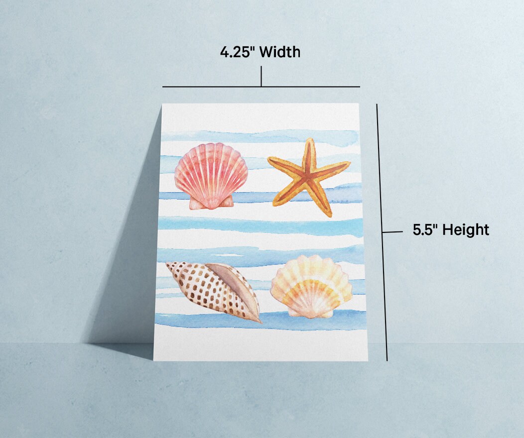 Seashell Note Card 1 12 or 24 Eco-friendly Cards With - Etsy