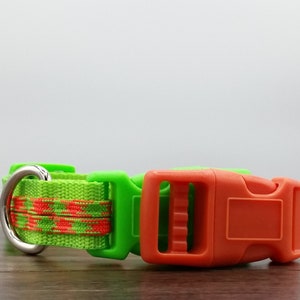 Neon Green & Orange Dog Collar: Adjustable Puppy Collar - Etsy