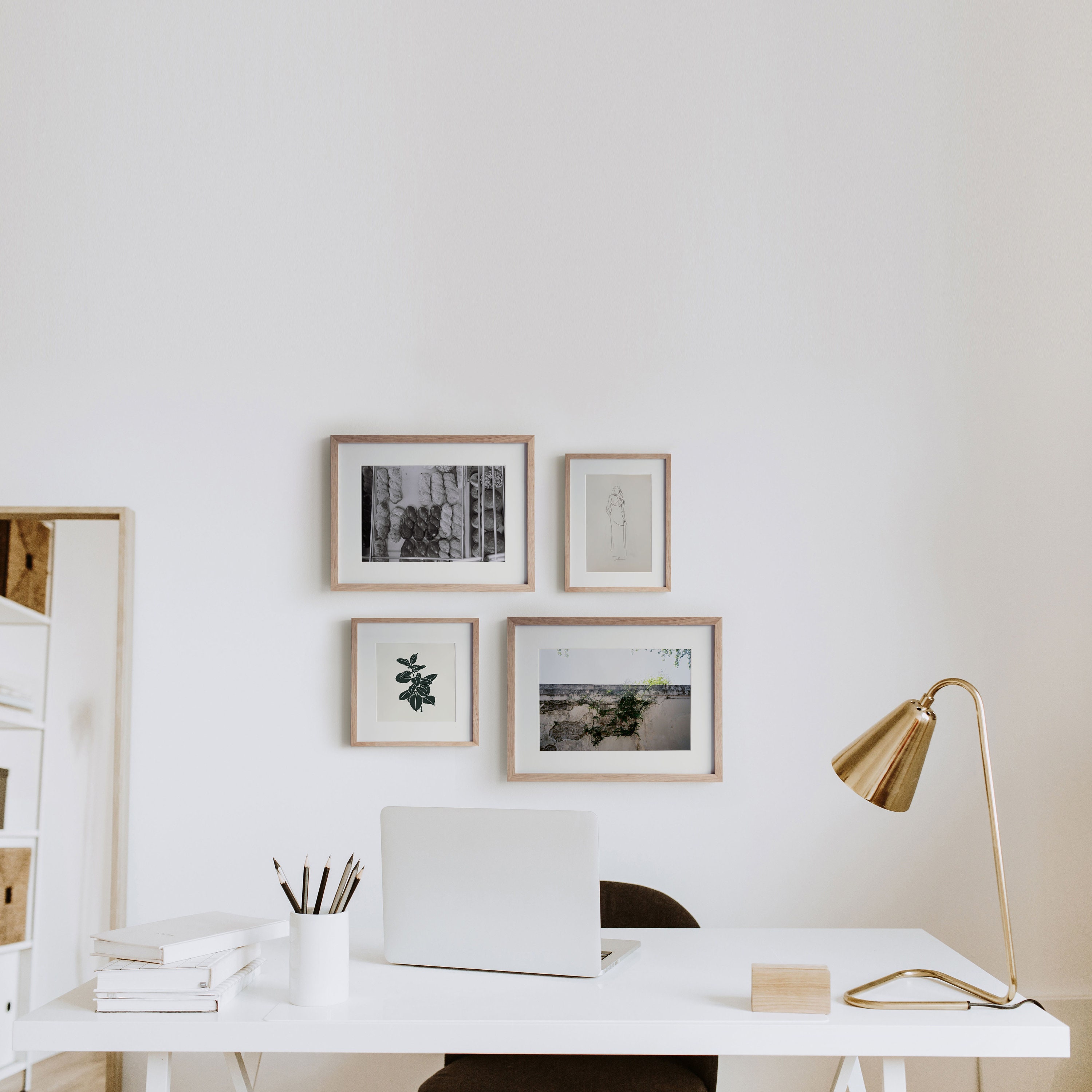 Rubber Tree Print Botanical Illustration Downloadable - Etsy