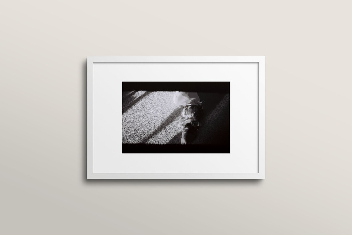 Shadows Film Photo Print Instant Download Contemporary Wall Art - Etsy