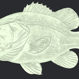 Largemouth Bass STL File for CNC Carving & 3D Printing Detailed Fish 3D ...