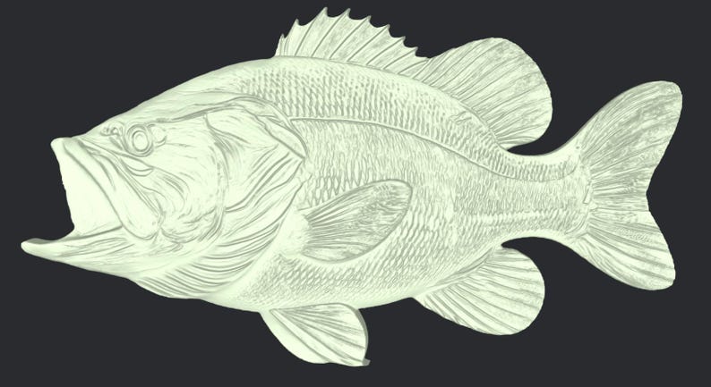 Largemouth Bass STL File for CNC Carving & 3D Printing | Detailed Fish ...