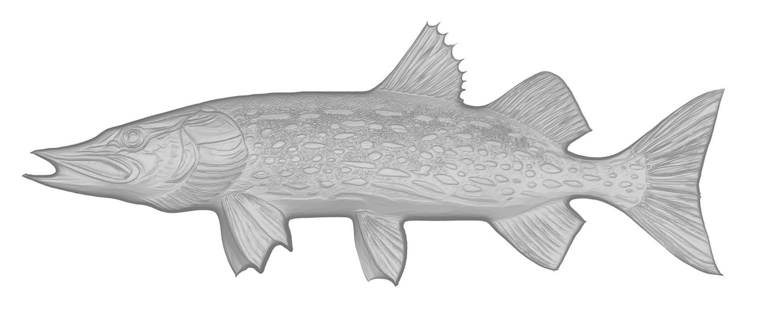 Realistic Northern Pike STL File for CNC Wood Carving and 3D Printing ...