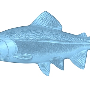 Realistic Rainbow Trout STL File for CNC Wood Carving and 3D Printing ...