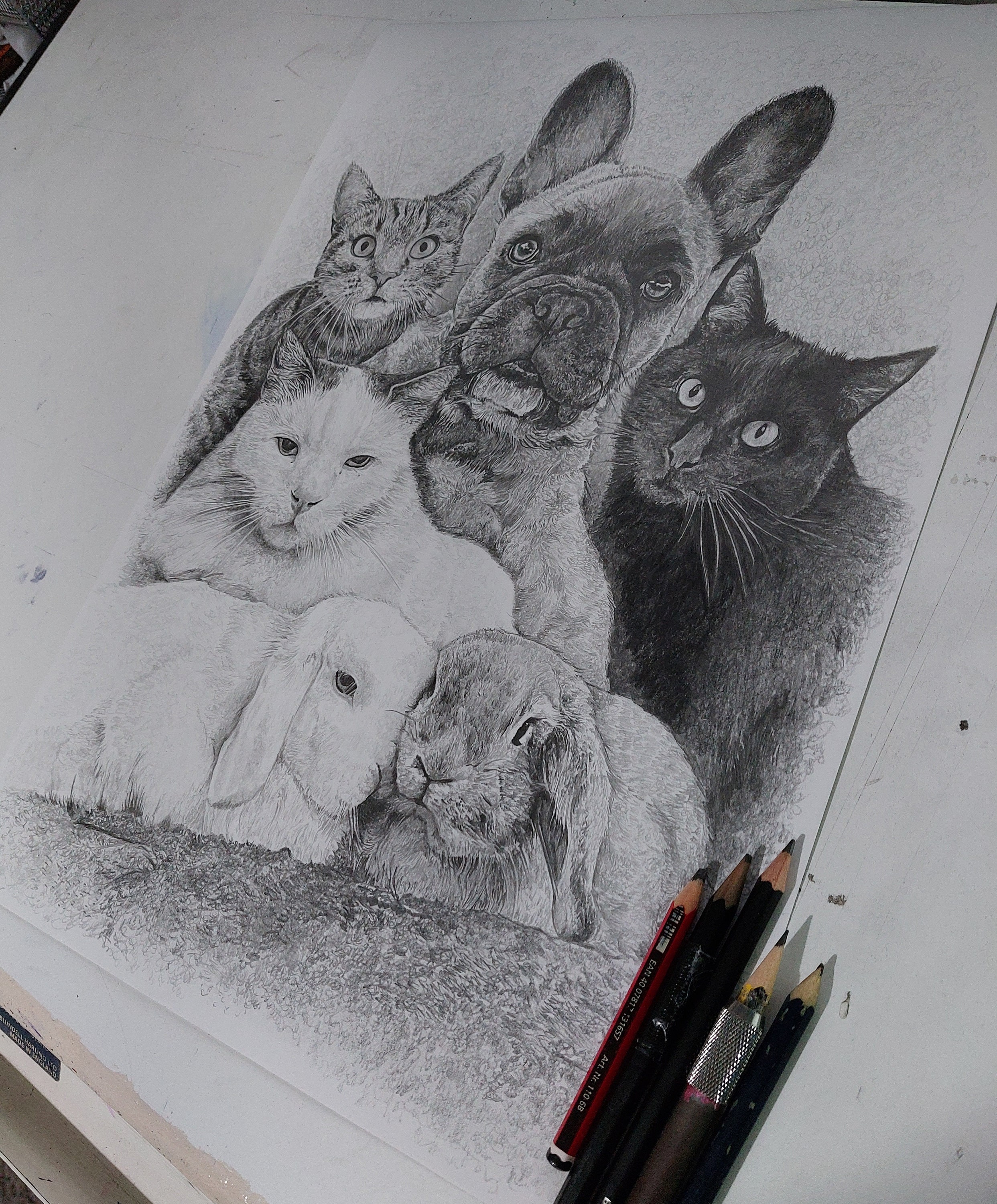 Custom Cat Pencil Sketch Black & White Graphite Hand Drawing | Etsy