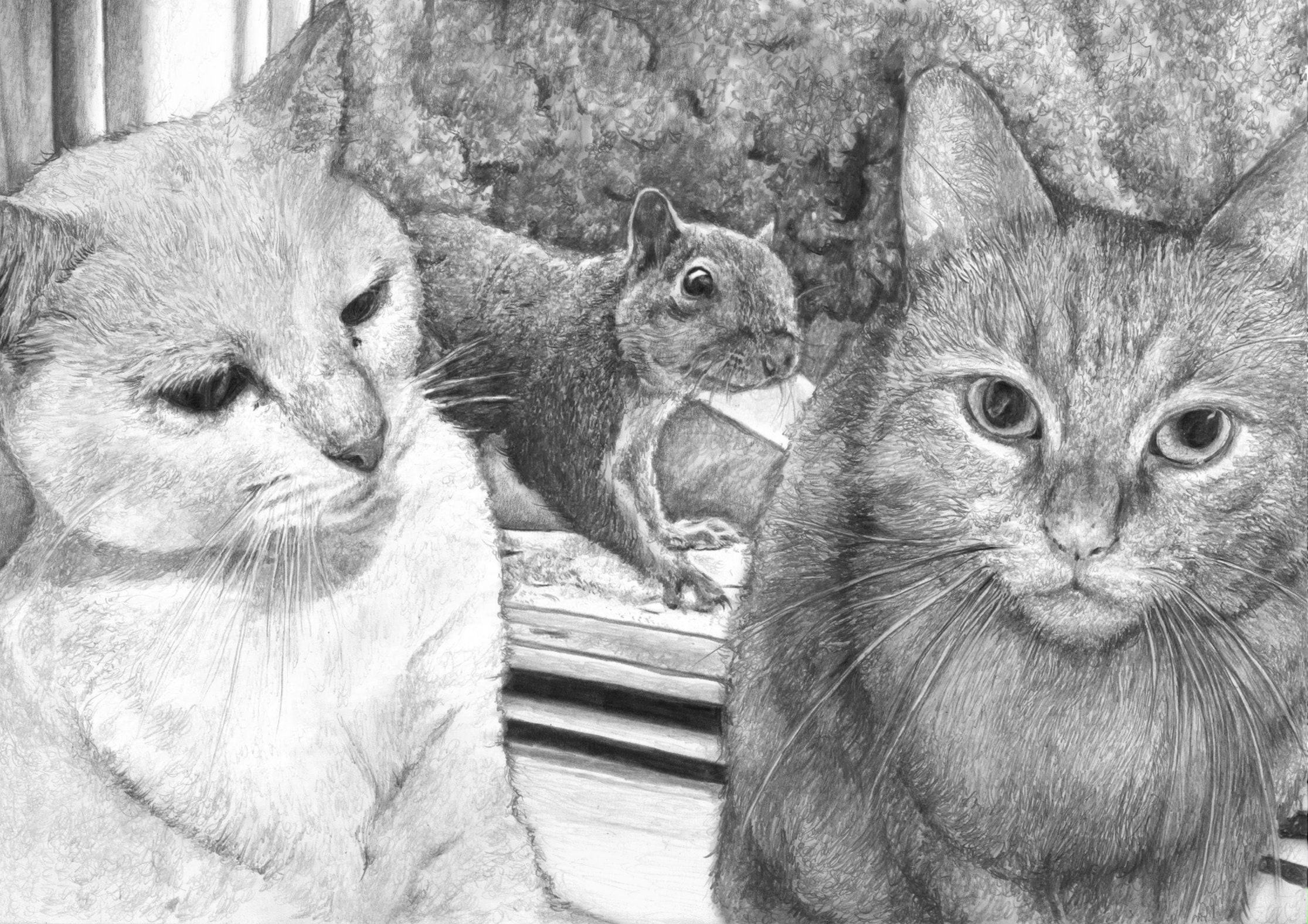 Custom Cat Pencil Sketch Black & White Graphite Hand Drawing | Etsy
