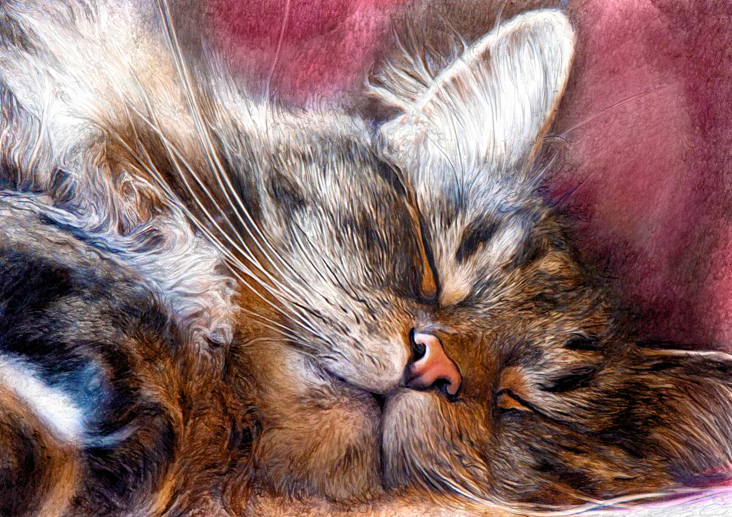 CUSTOM Pencil Sketch Colourization From Hand Drawing to - Etsy