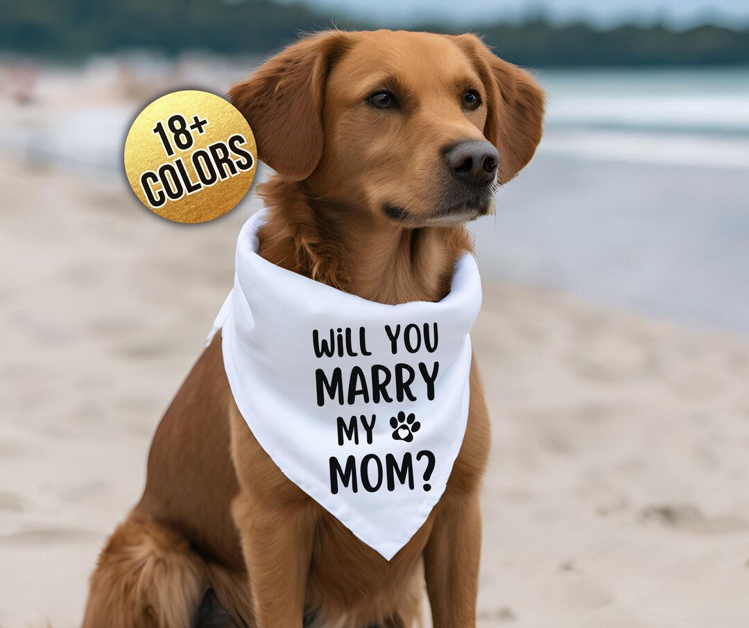 Will You Marry My Mom Dog Bandana - Marriage Proposal Bandana ...