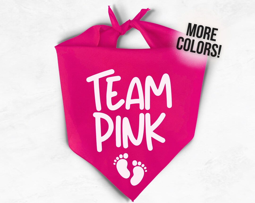 Team Pink Bandana - Gender Reveal Dog Bandana - Team Blue Bandana ...