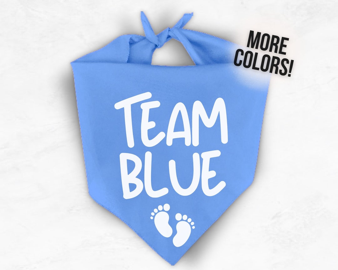 Team Blue Bandana - Gender Reveal Dog Bandana - Team Pink Bandana ...