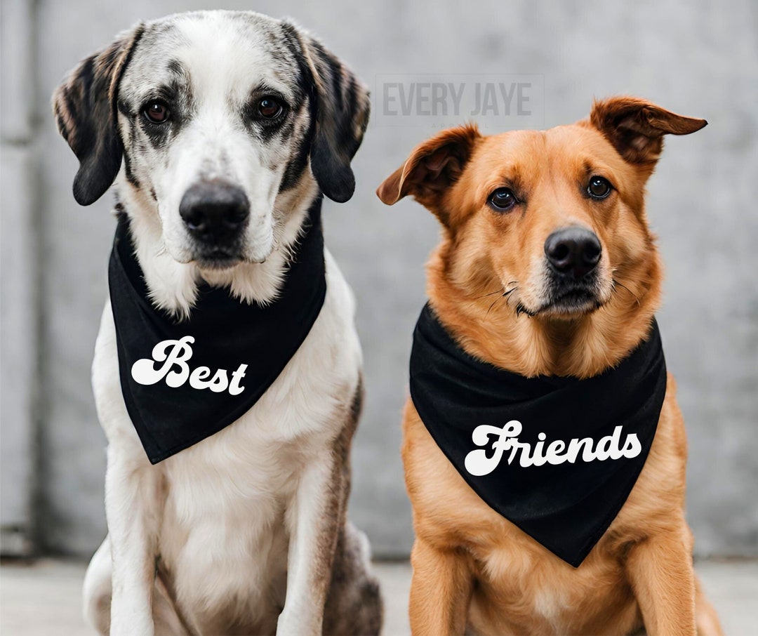 Best Friends Dog Bandana Set - Dog Best Friends Bandanas - Cute ...