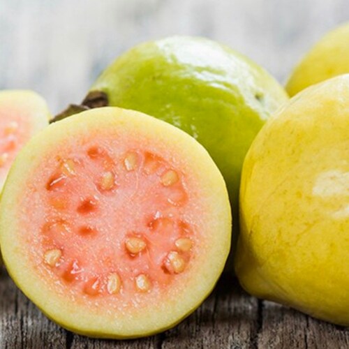 Maui Guava 5 Fresh Cuttings Easy to Grow. - Etsy