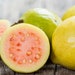 Maui Guava 5 Fresh Cuttings Easy to Grow. - Etsy