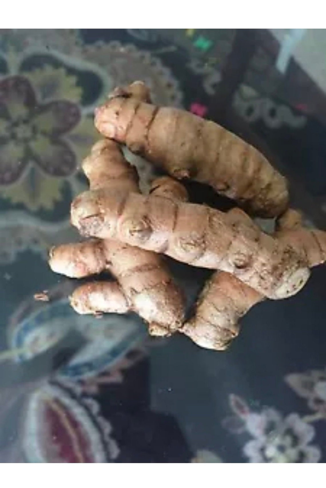 Sale- Maui Hawaii Turmeric Olena 6pcs Either Grow It or Eat It ...