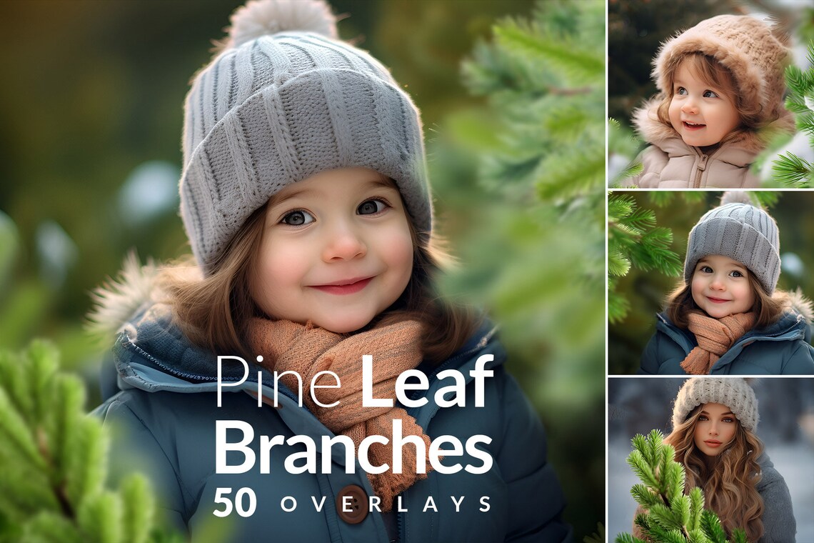 50 Pine Tree Branch PNG Photoshop Overlays, Transparent Evergreen ...