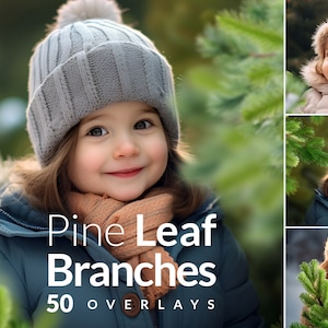 Pine Branch Overlays, Acorn Tree Overlay, Fir Branch Overlay, Green ...