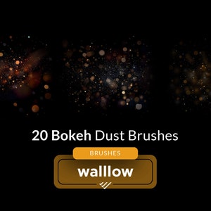 Bokeh Dust Photoshop Brushes, Glitter Dust, Falling Dust, Floating Dust ...