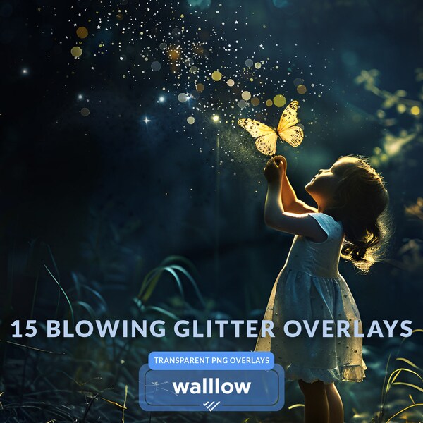 Pixie Dust Overlay - Etsy