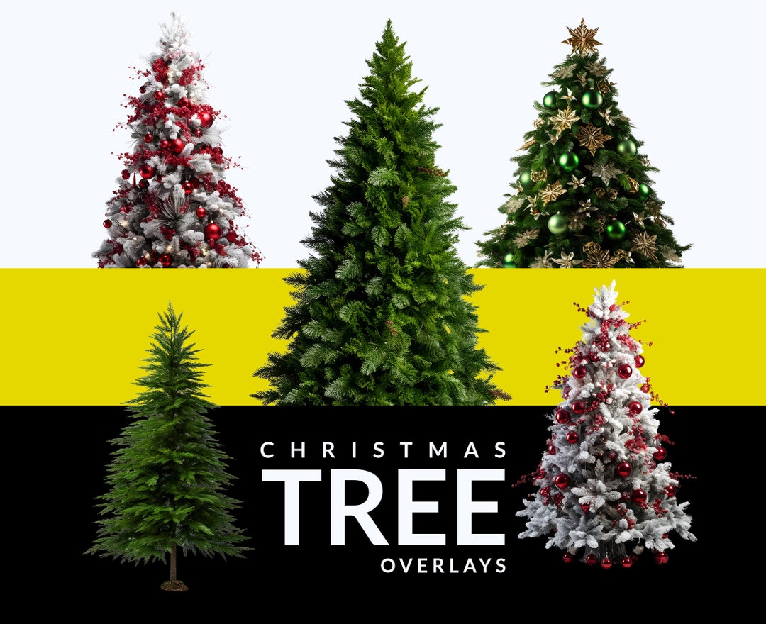 Christmas Tree PNG Overlays | Transparent Christmas Branch Photoshop ...