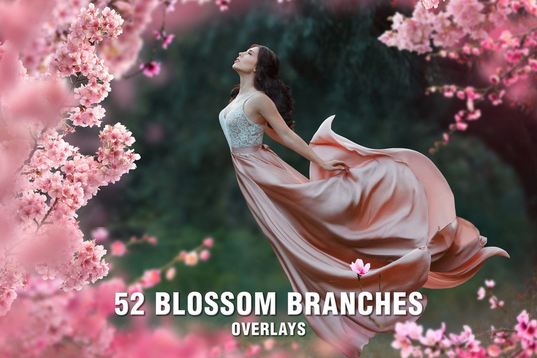 52 Painted Blossom Branches Photo Overlays, Cherry Blossom, Wedding ...