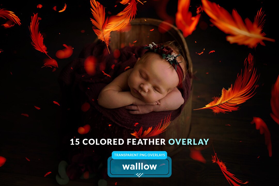Realistic Colorful Feathers Photoshop Overlays, Falling Feathers ...