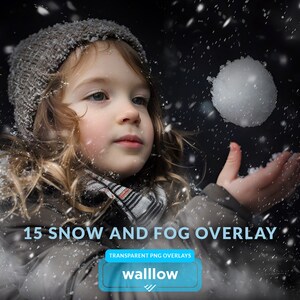 Snow Fog Transparent PNG Photo Overlays, Realistic Falling Snow PNG ...