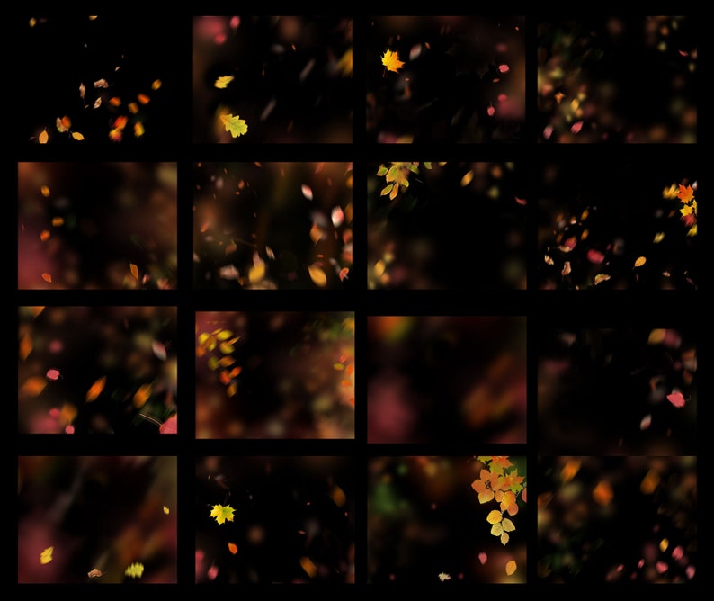 100 Fall Leaves Overlays, Autumn PNG Leaf Photoshop Overlays, Autumn ...