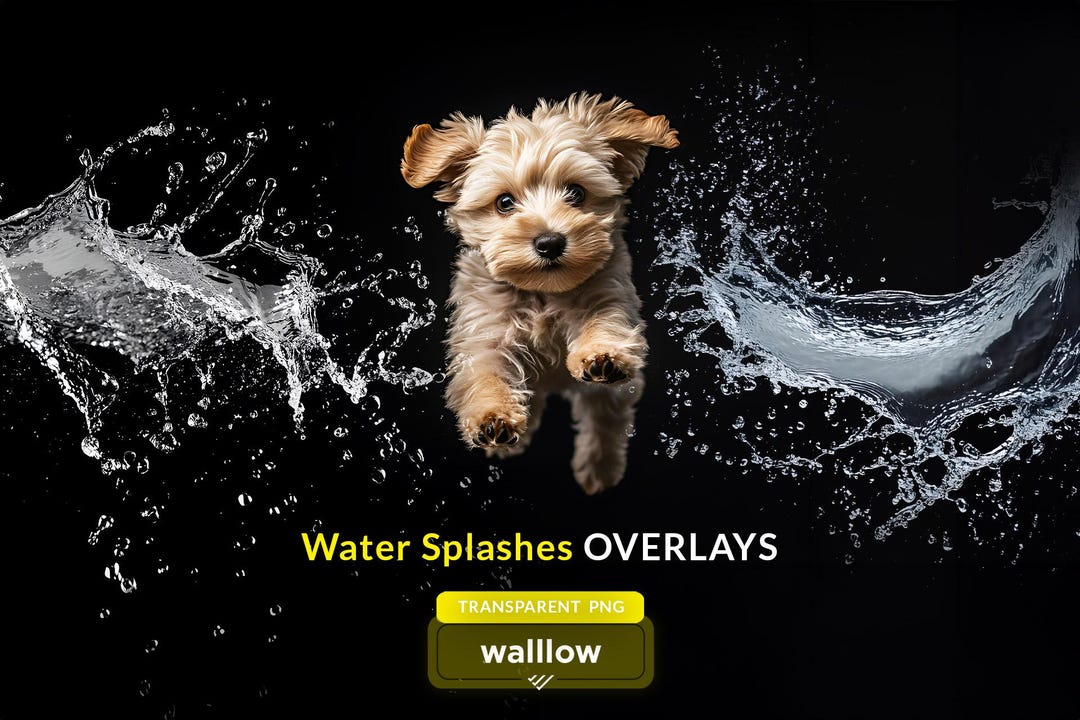 Water Splash Overlays, Realistic Transparent PNG Effects | Digital ...