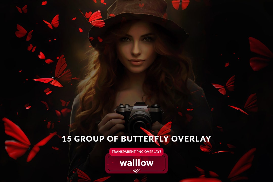 Realistic Butterflies Png Photoshop Transparent Overlays, Moth ...