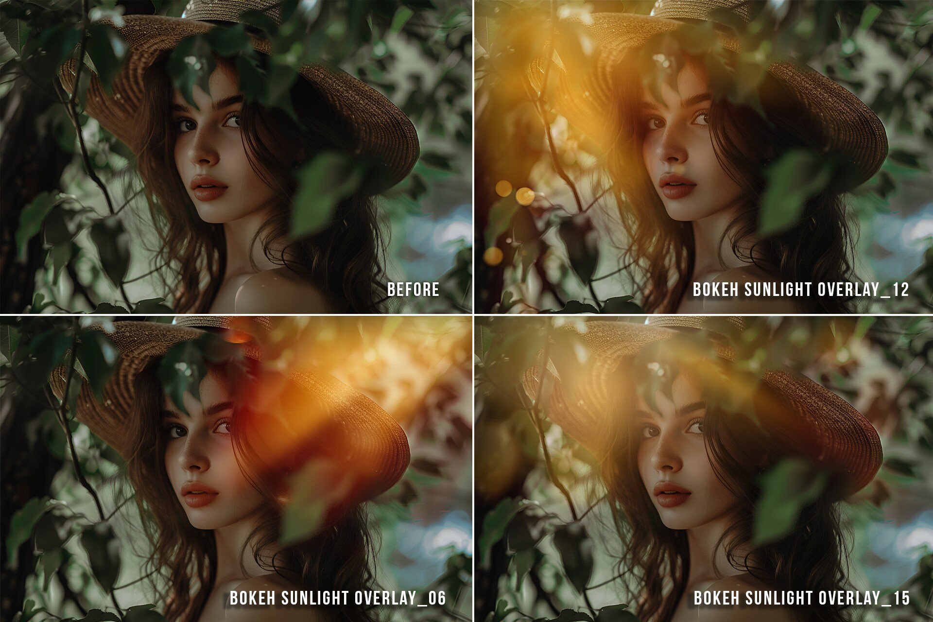 Bokeh Sunlight Overlays, Natural Sunlight, Realistic Subtle Golden ...