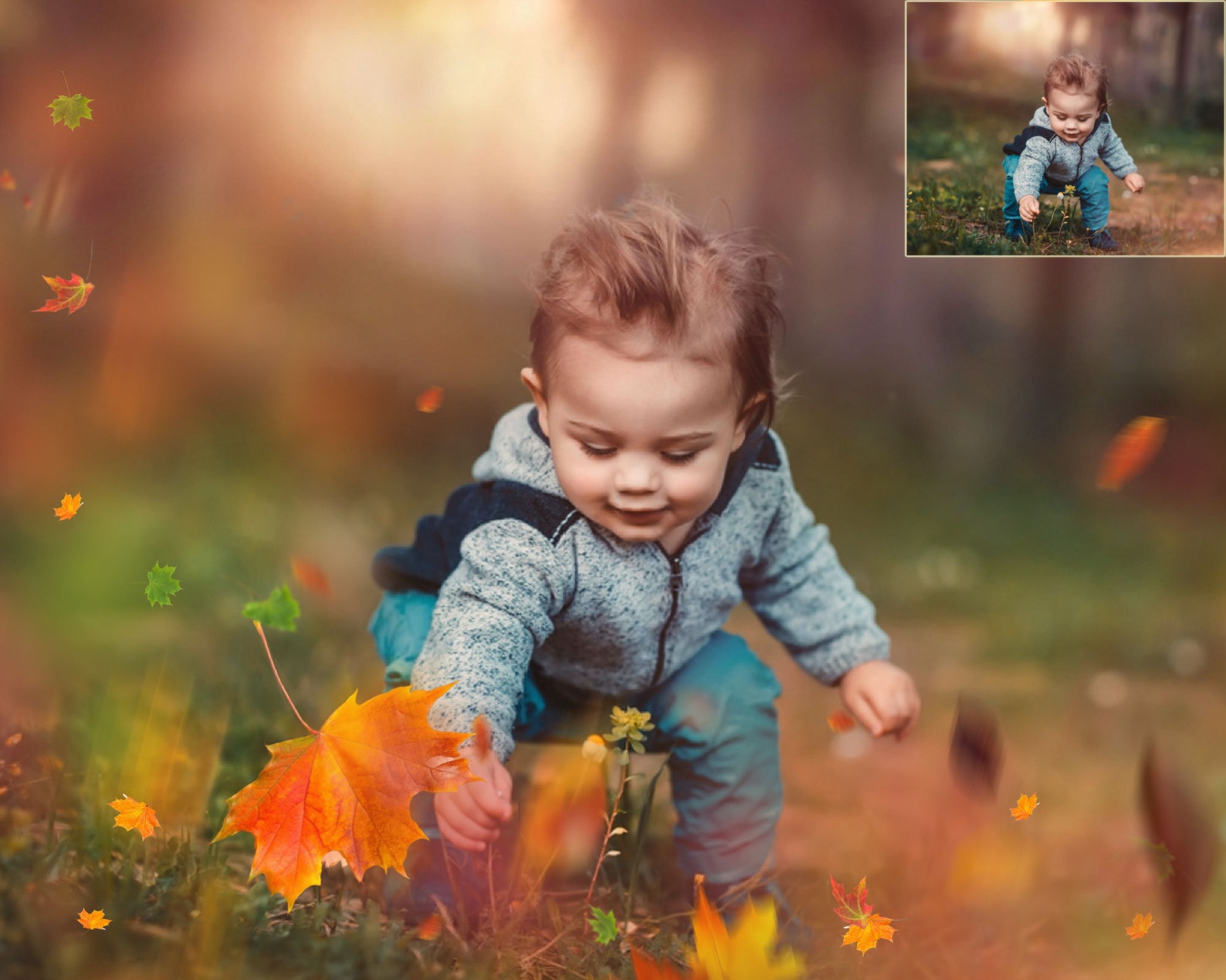 100 Fall Leaves Overlays, Autumn PNG Leaf Photoshop Overlays, Autumn ...