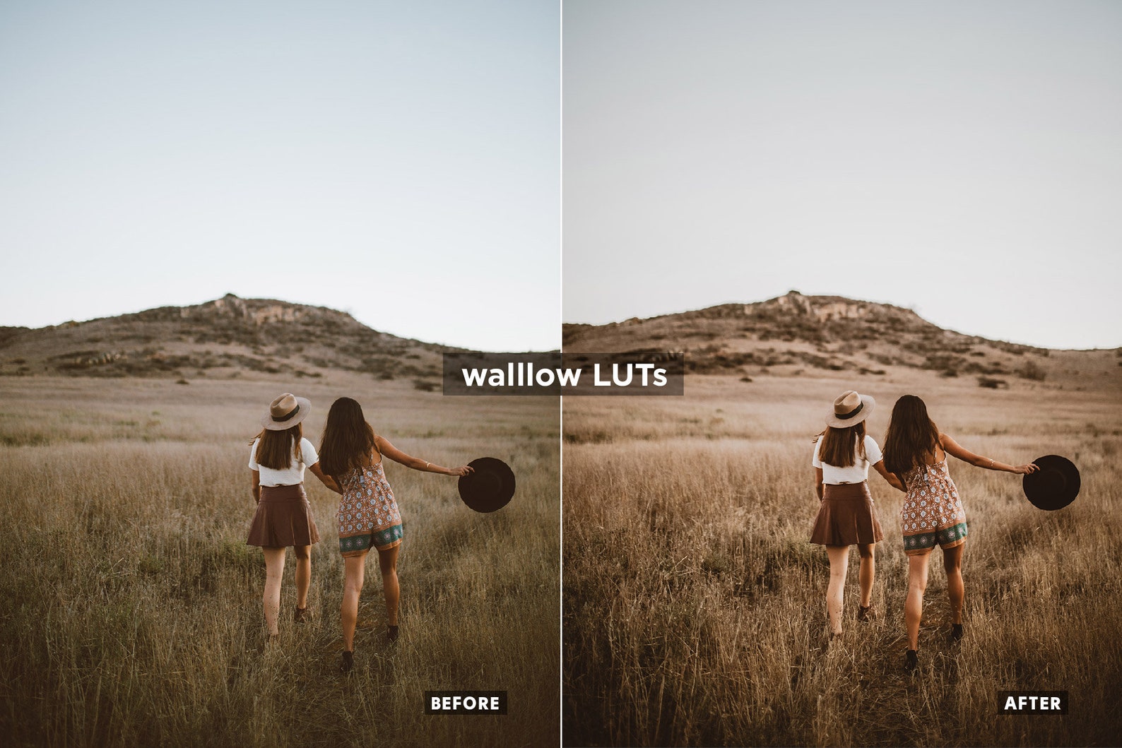 Gold Luts | 10 Golden Video Editing Luts | Luts for Premiere Pro, Luts ...