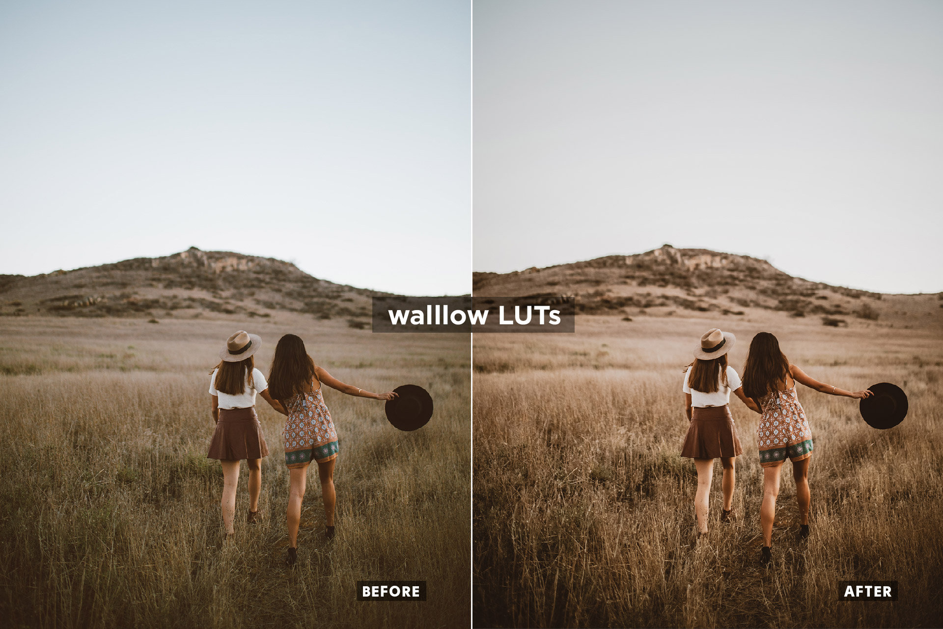 Gold Luts | 10 Golden Video Editing Luts | Luts for Premiere Pro, Luts ...