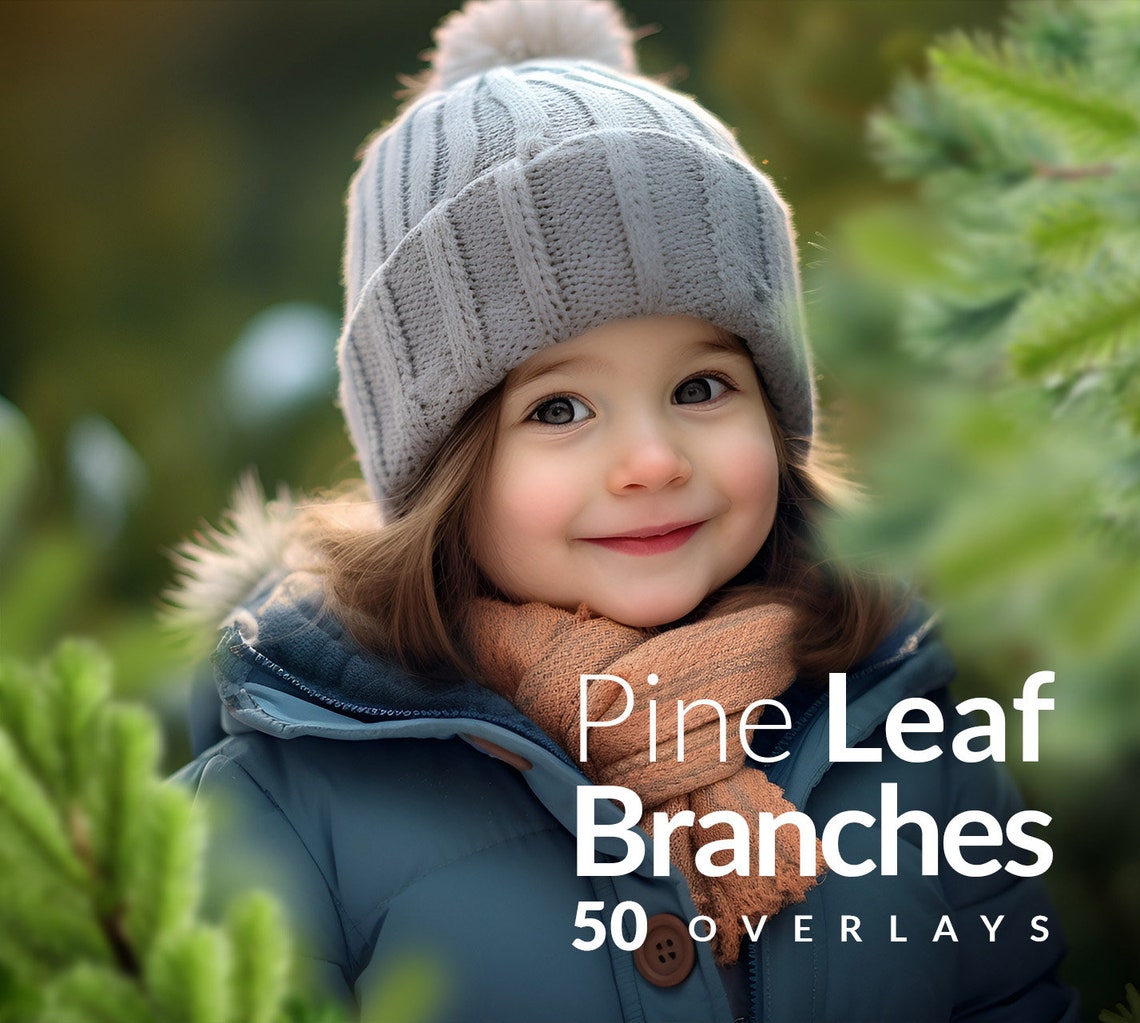 50 Pine Tree Branch PNG Photoshop Overlays, Transparent Evergreen ...