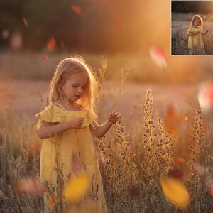 100 Fall Leaves Overlays, Autumn PNG Leaf Photoshop Overlays, Autumn ...